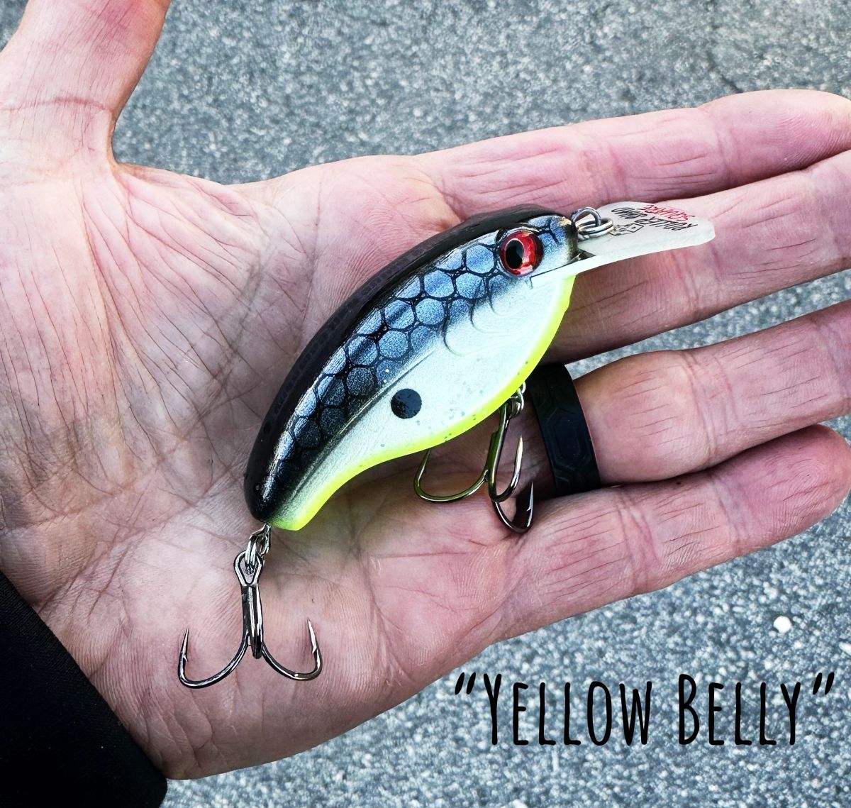 Roller Shad Square(Yellow Belly)