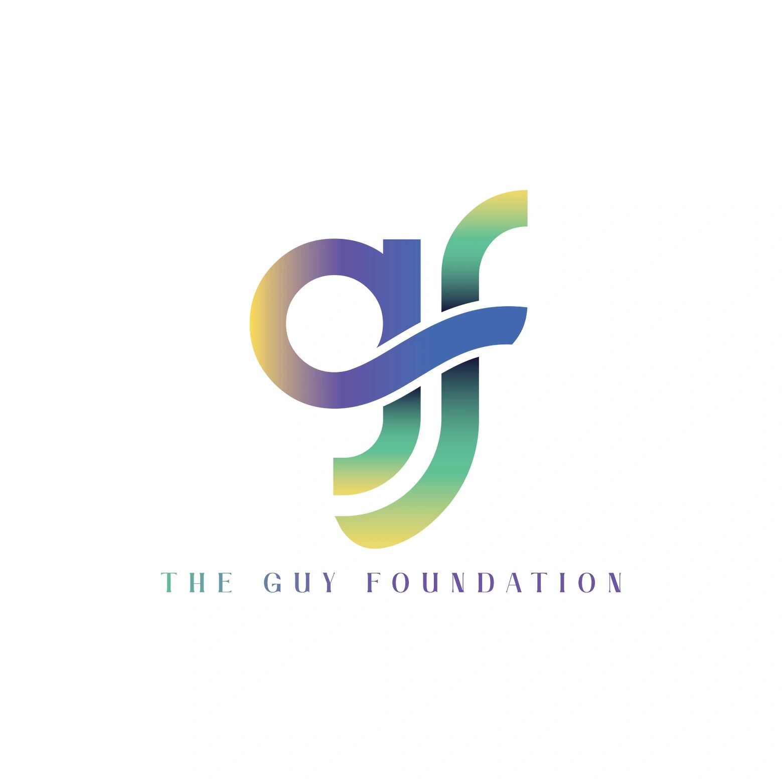 Guy Foundation MD