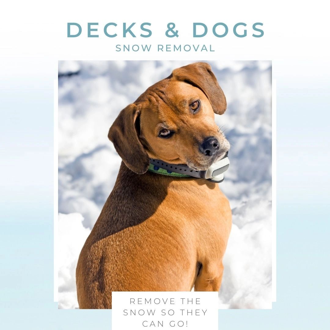 Decks and Dogs Snow Removal
