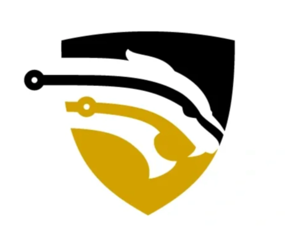 Tiger Eye Engineering