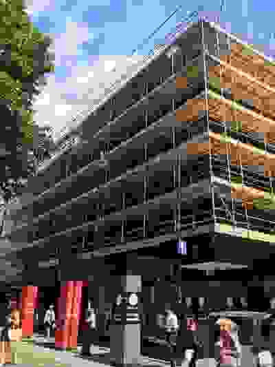 Services | OPTIMUS ACCESS LIMITED