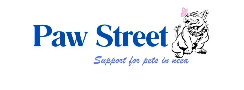 PAW STREET INC