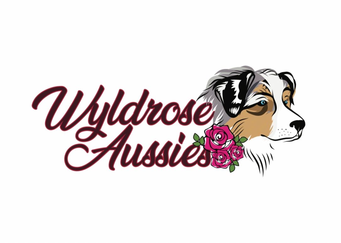 Our Female Aussies