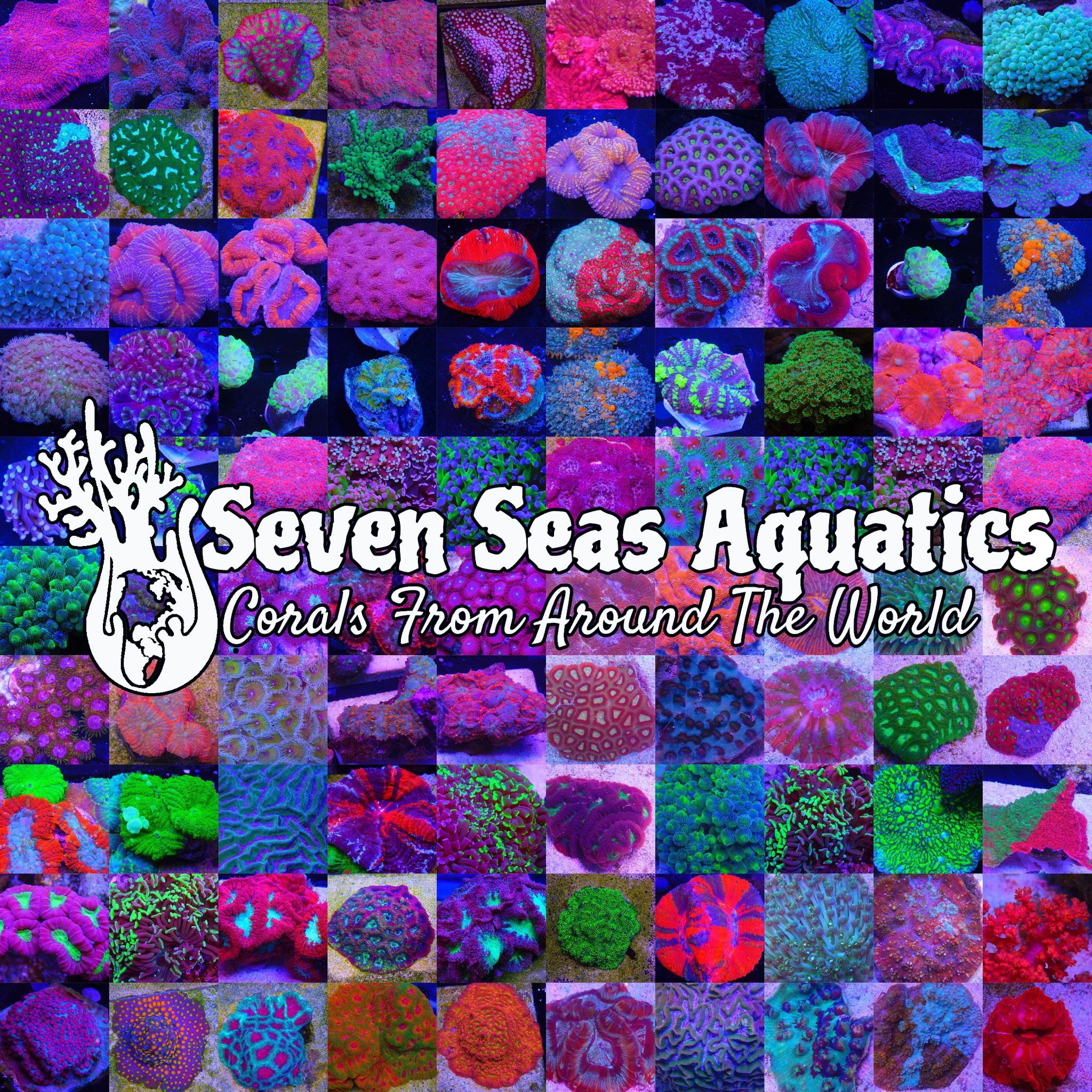 Seven Seas Aquatics - Frags, Aquarium, Coral Reef | Seven Seas Aquatics