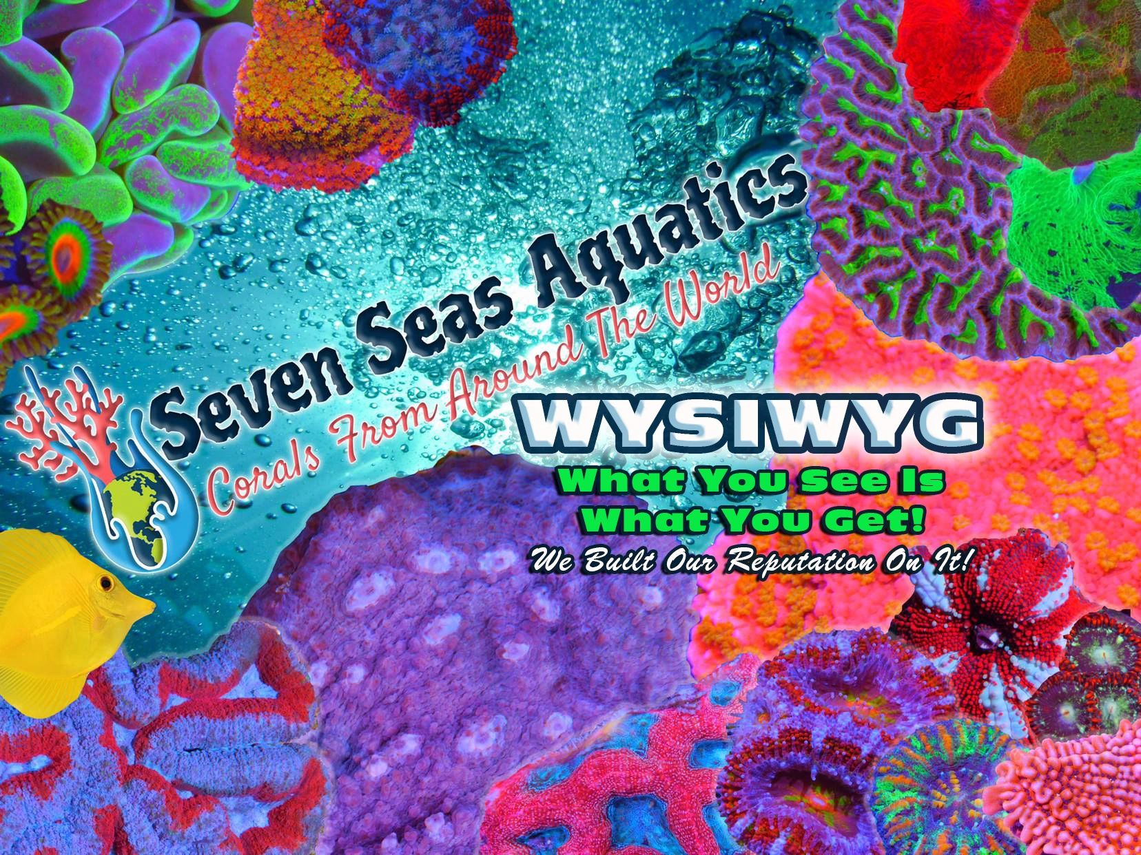 Seven Seas Aquatics - Live Coral, Reef, Fish Store | Seven Seas Aquatics