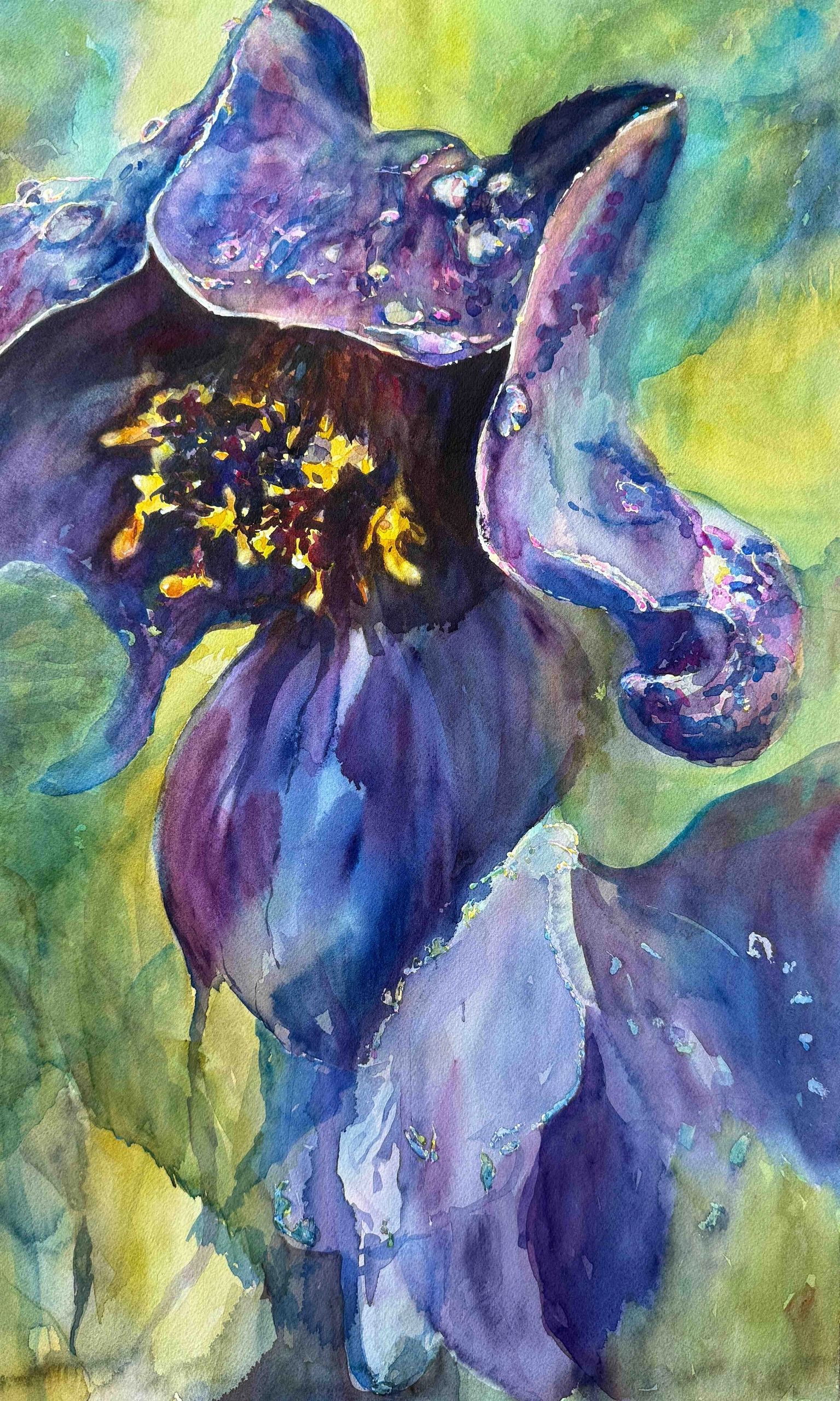 Jennifer Perry Clark