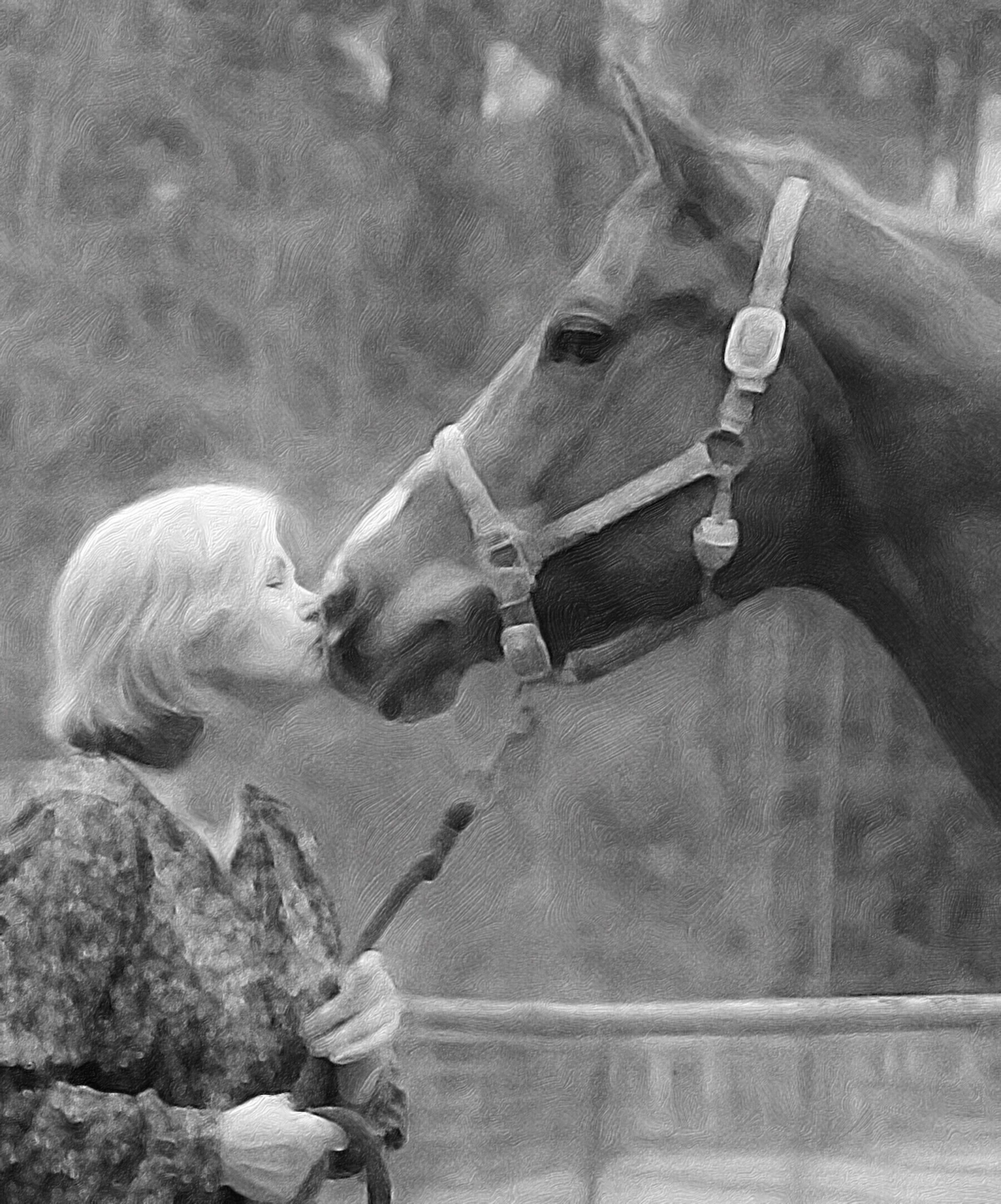 Expert Horse Farm Animal Sitter | In-Home Pet Care Services