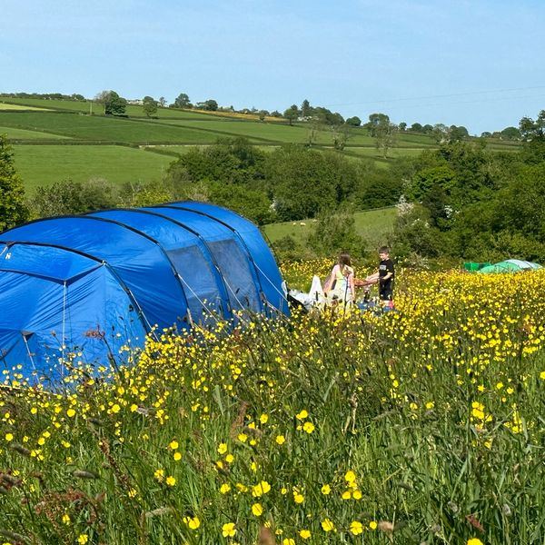 Frowen Fields - Glamping, Campground, Camping, Glamping