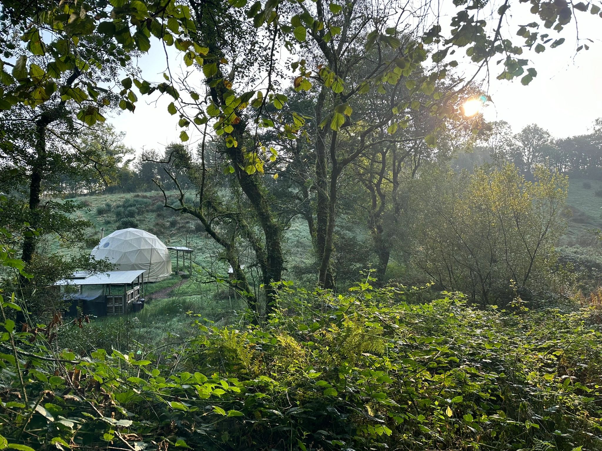 Frowen Fields - Glamping, Campground, Camping, Glamping