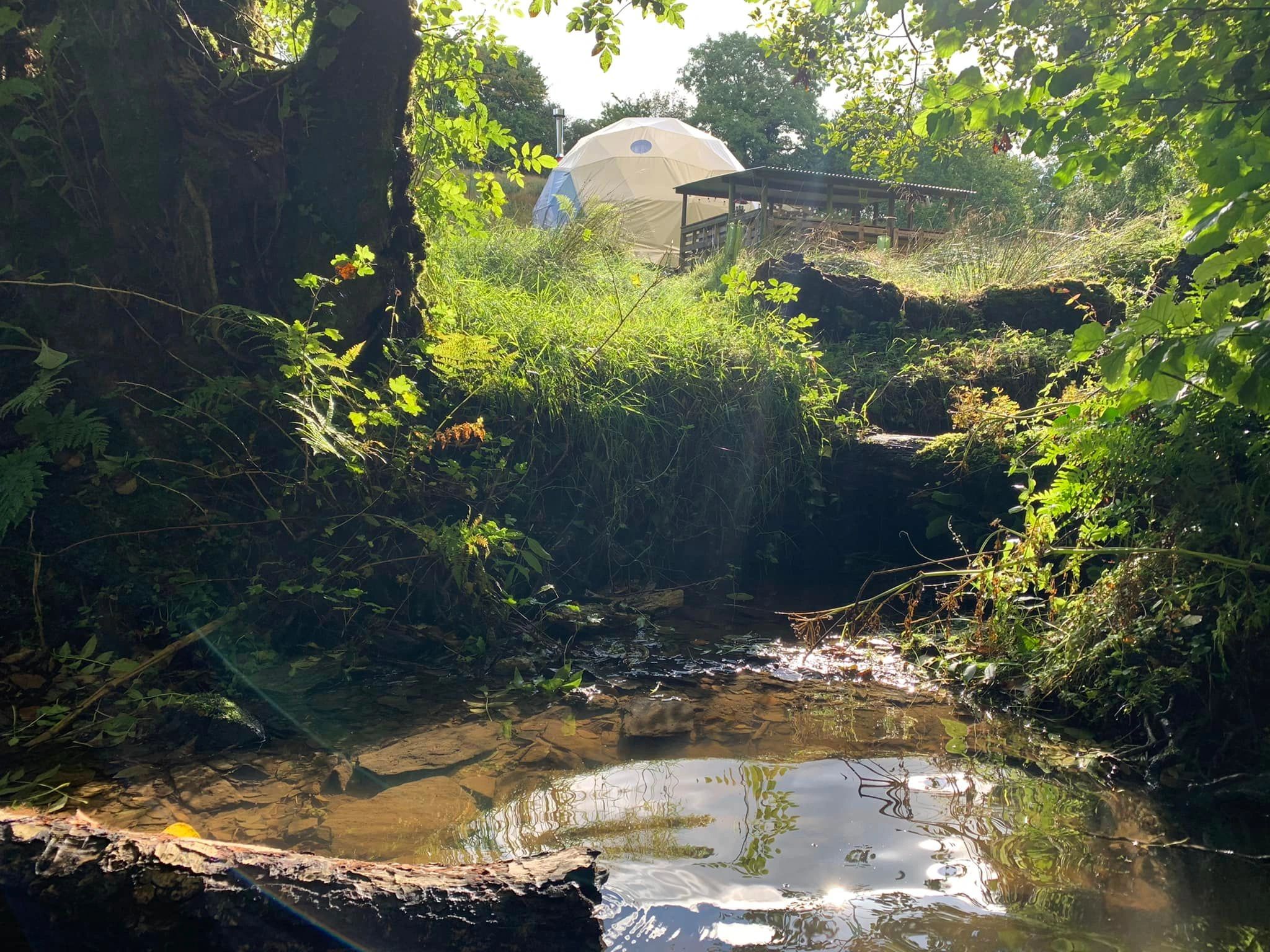 Frowen Fields - Glamping, Campground, Camping, Glamping