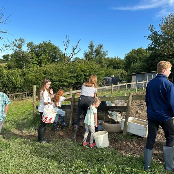 Frowen Fields - Glamping, Campground, Camping, Glamping