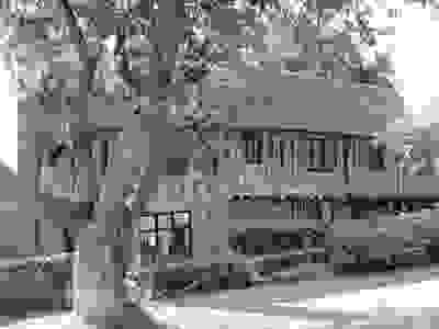 Gleason Family Discoveries