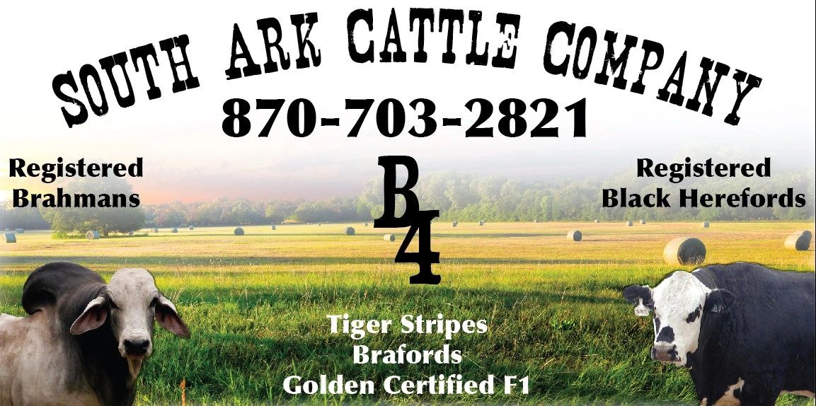 South Ark Cattle Company - Livestock, Brahman and Black Hereford ...
