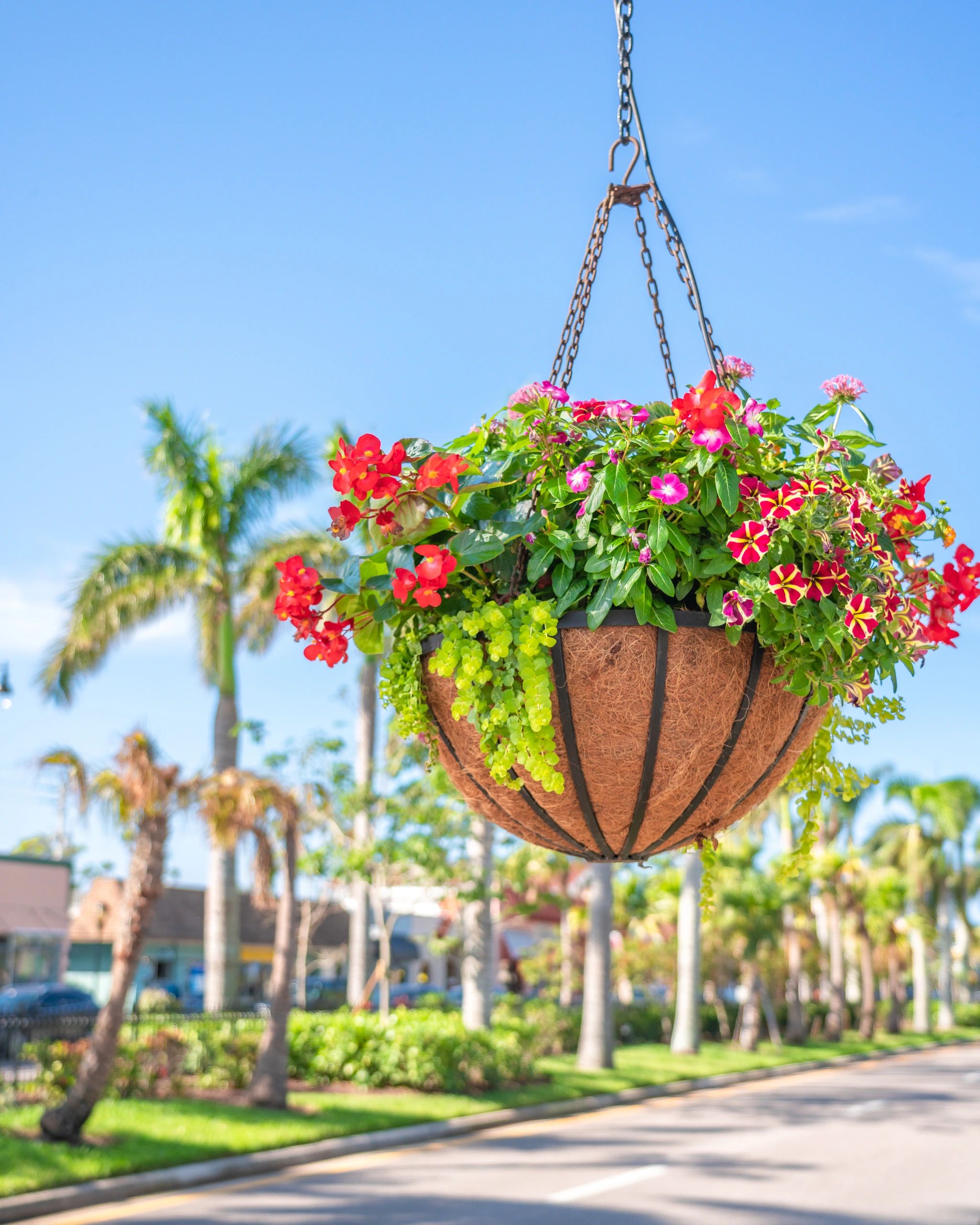Venice, Florida Photographer Hotspots