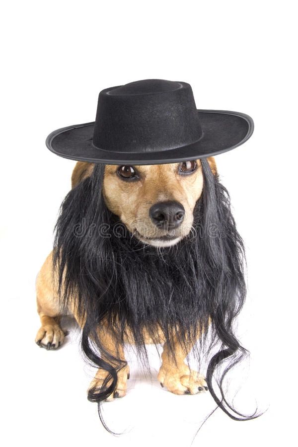 Jewish Dogs? (Part 1)