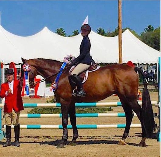 South Shore Riding Stables, LLC - Horse Riding, Stables