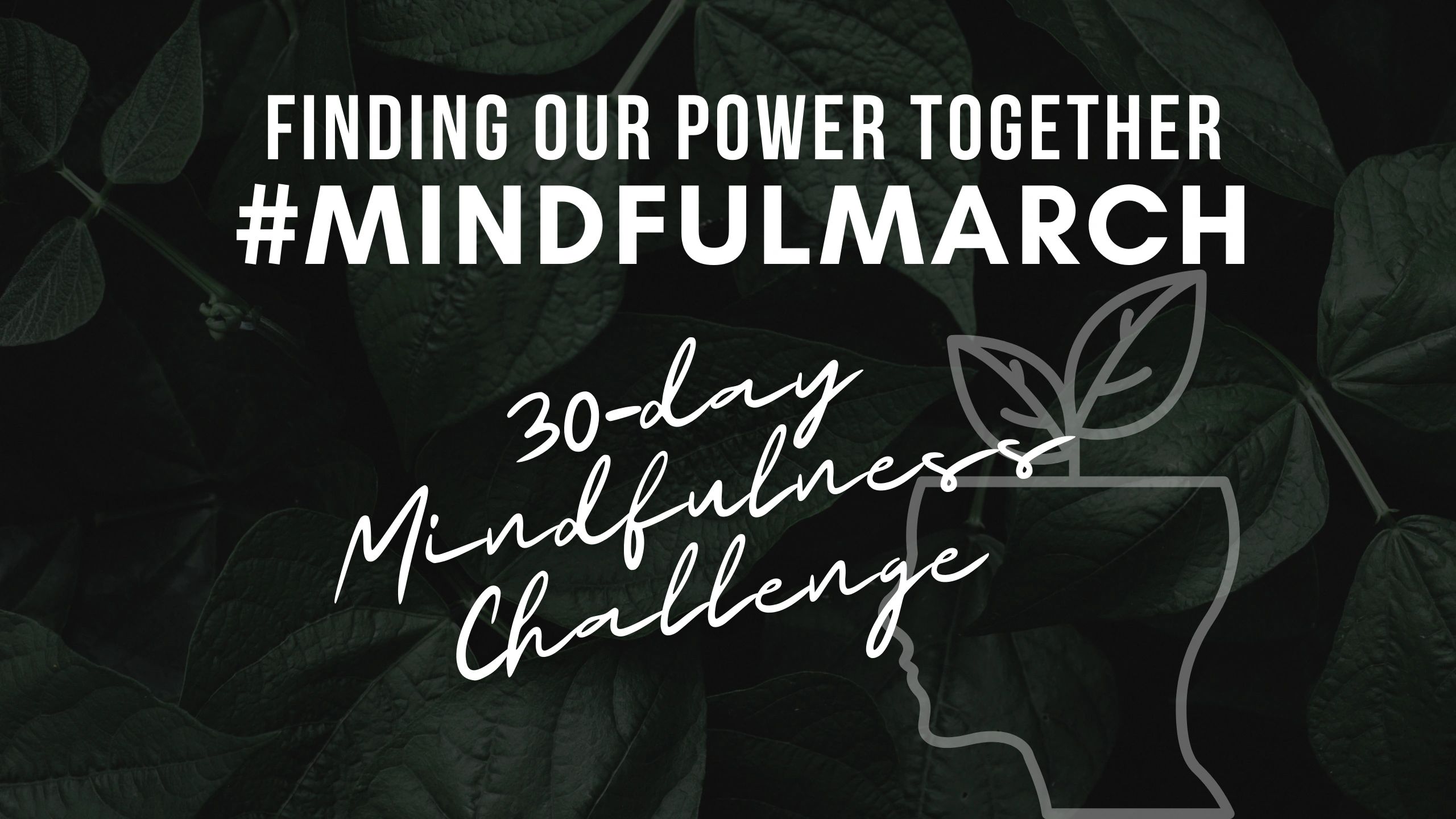 Mindful March: What We Did