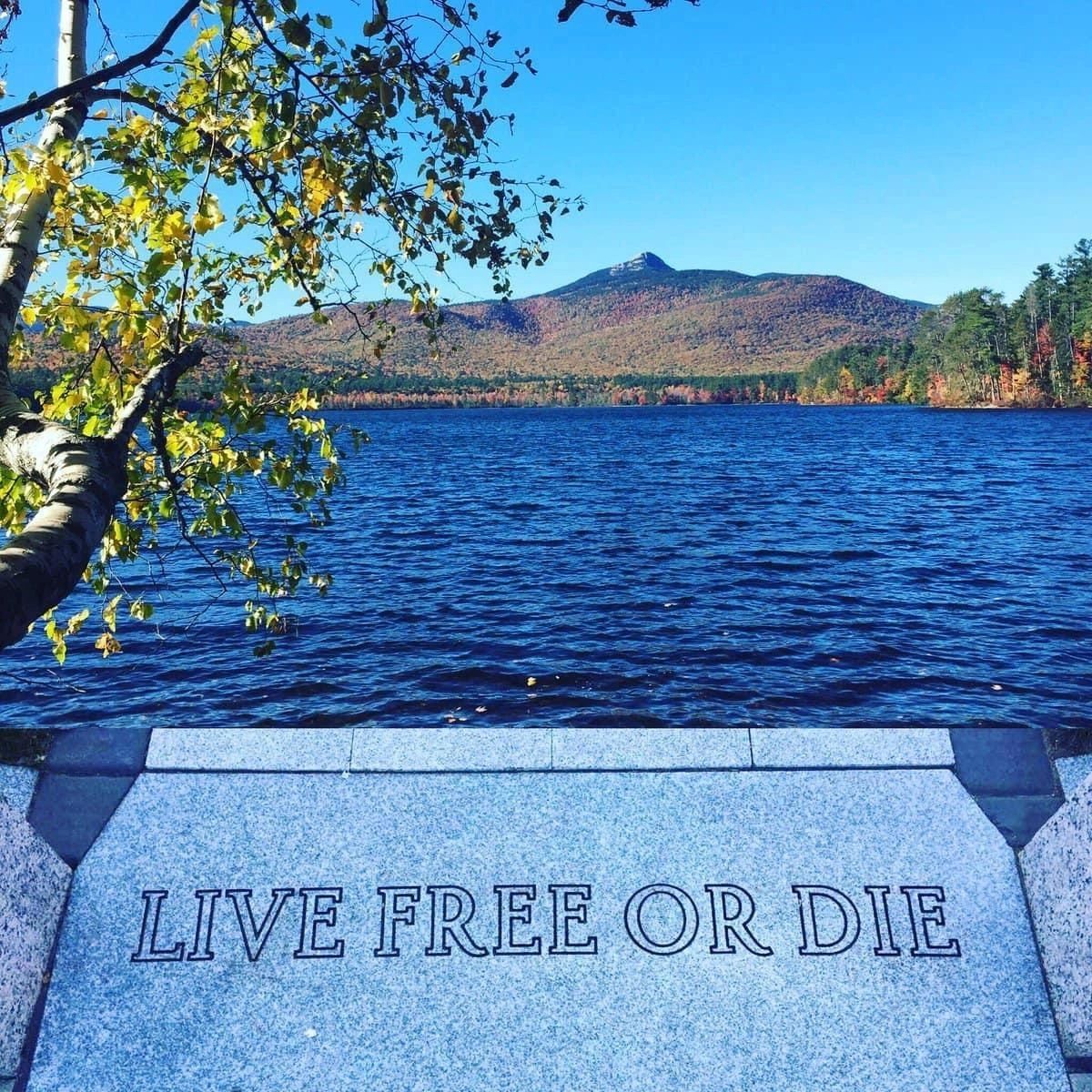 Mike Perrault for Rindge Selectman