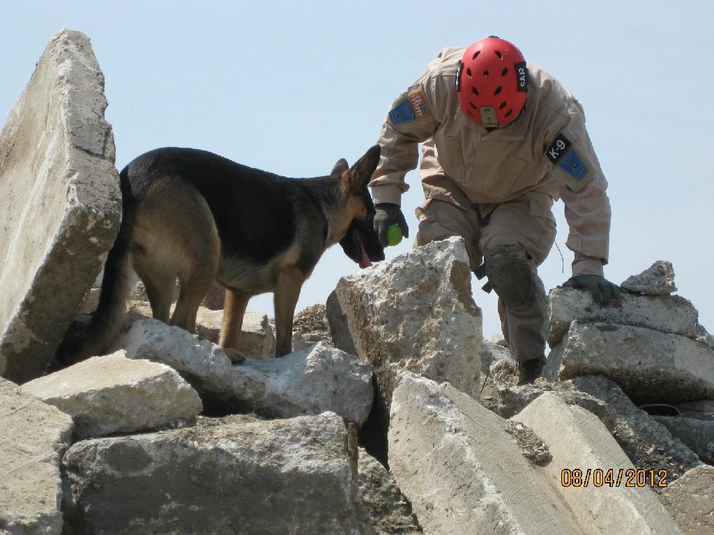 Disaster Dogs of Illinois - Search and Rescue, Volunteer