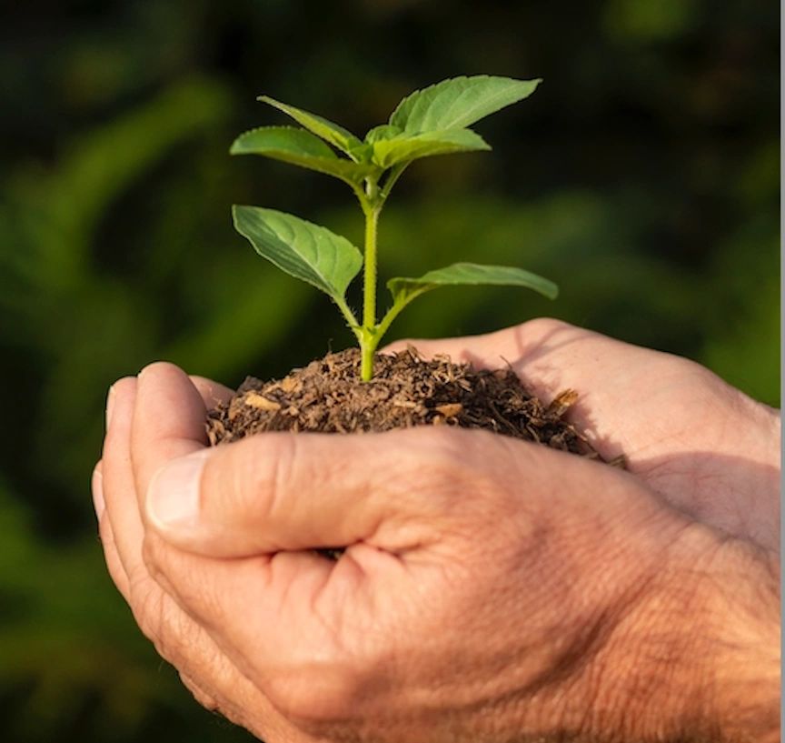 Save the Plant