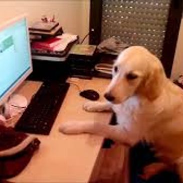 Total Computer Solutions Shallotte NC