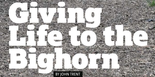 media gallery | Bighorn Trail Run