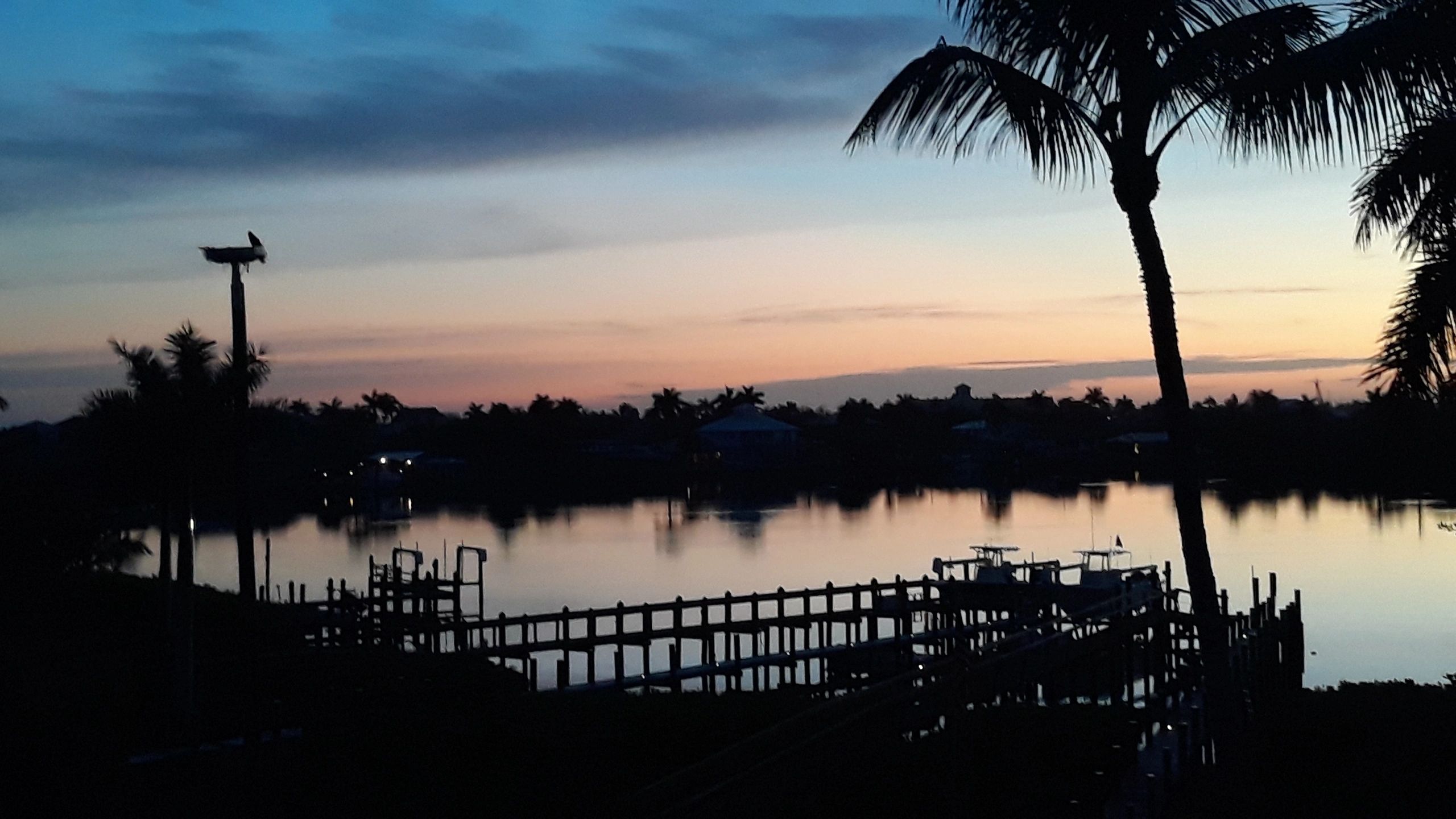 Jeane Jarrell Enterprises