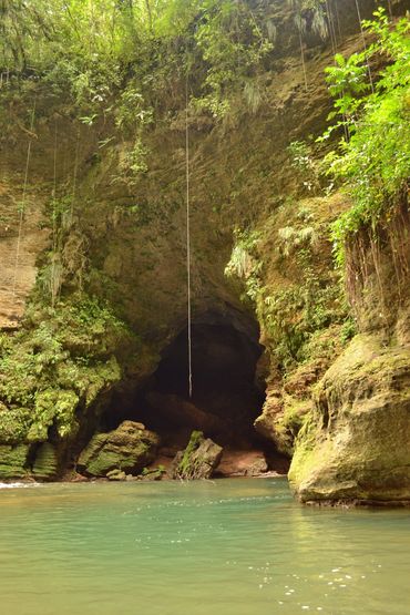 Tanama River Adventures