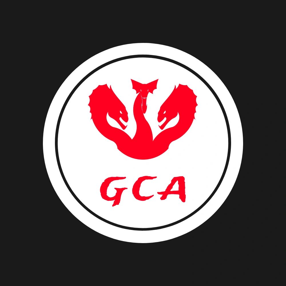 Martial Arts Classes for Adults | Greenville Combatives Academy