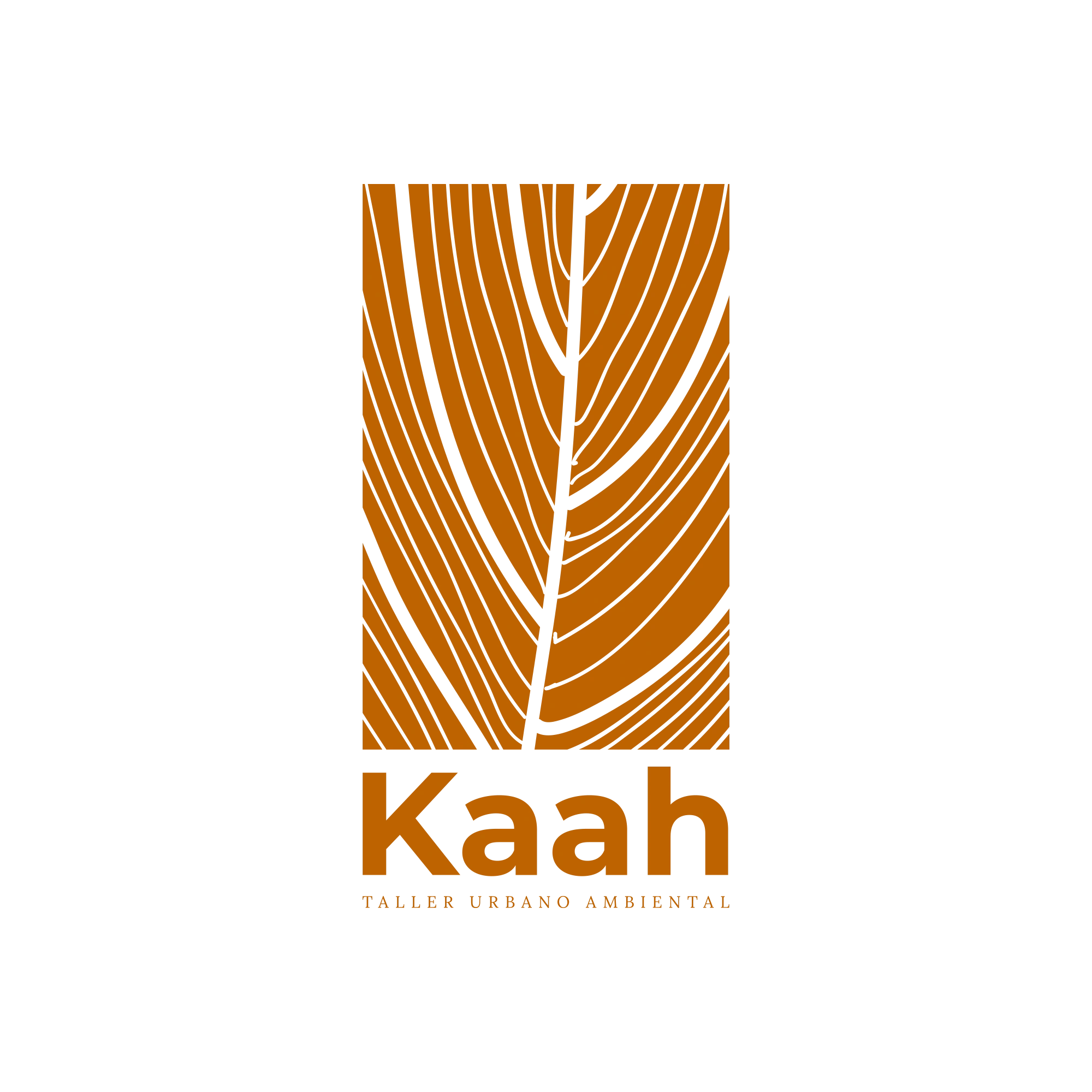 Kaah Mx