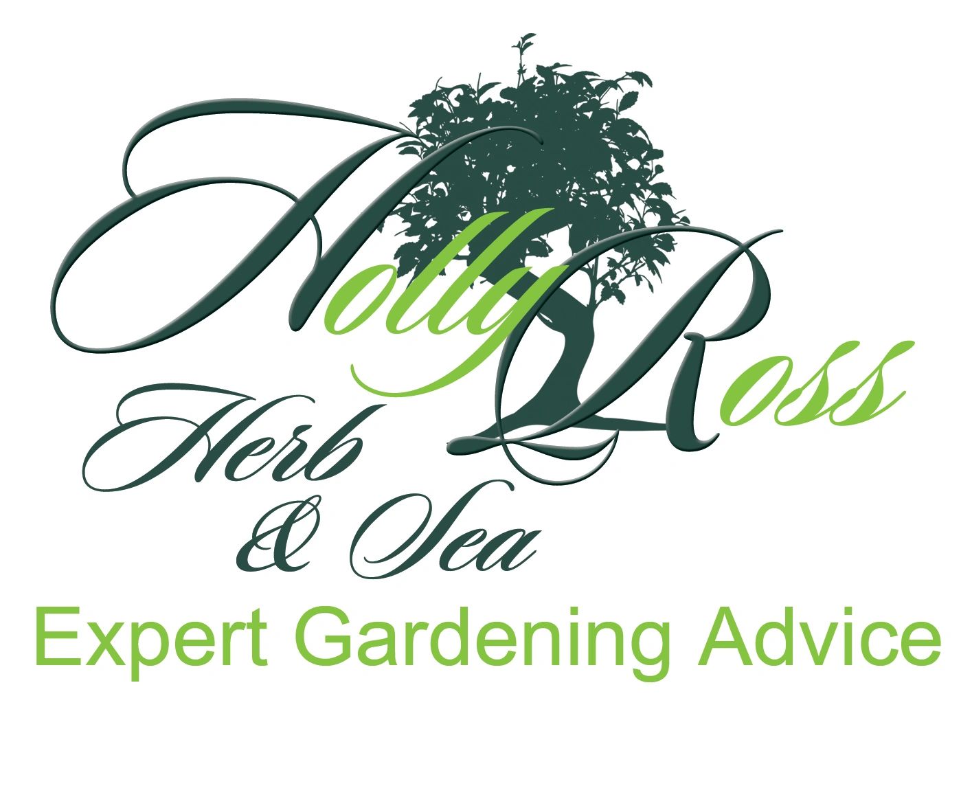 Holly Ross - An Overview of Herbs
