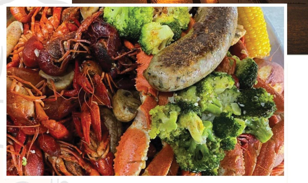 Huli Huli Hut Revisit & Introduction to Nauti Beaver Hut