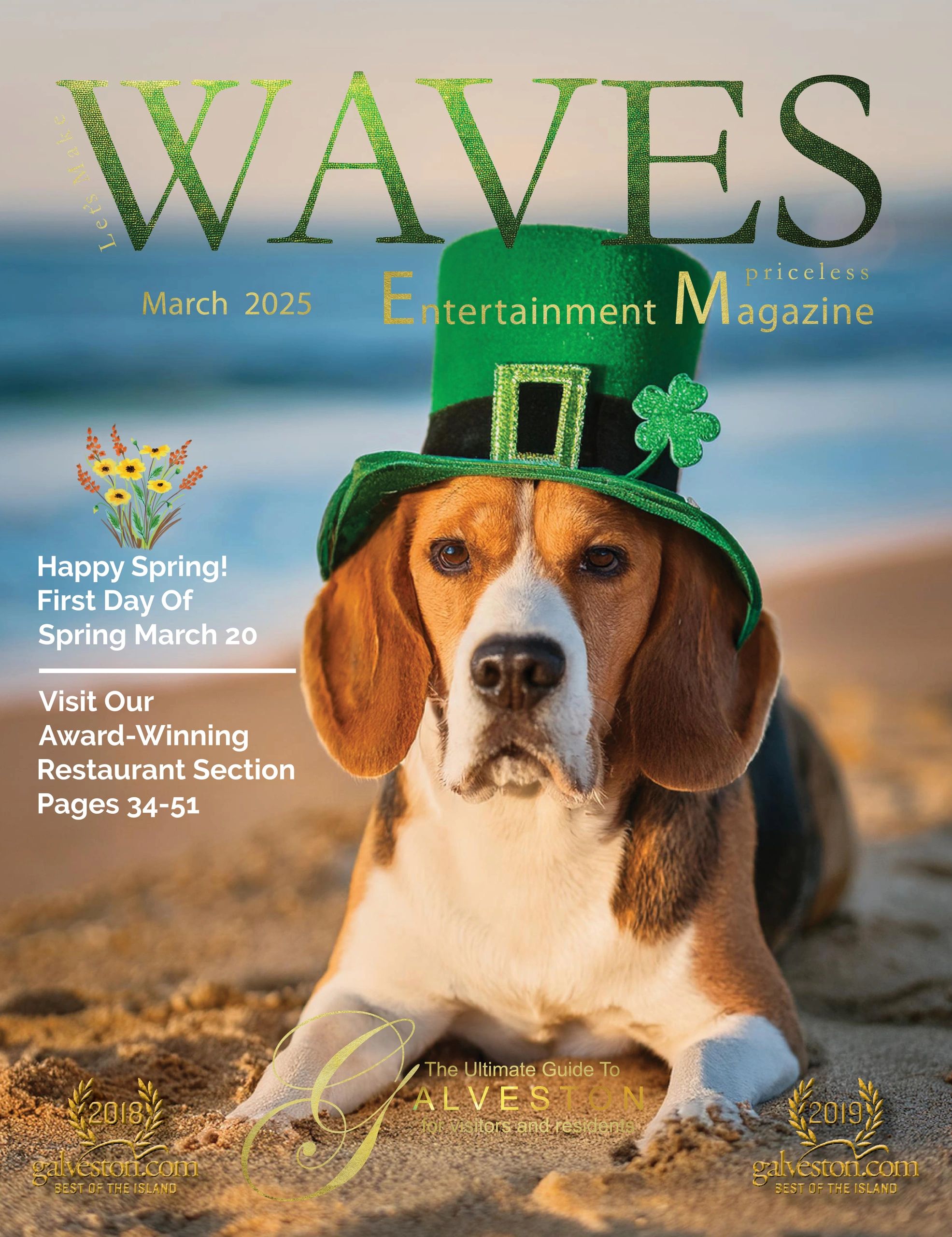 Waves Magazine | Galveston - Magazine, Entertainment