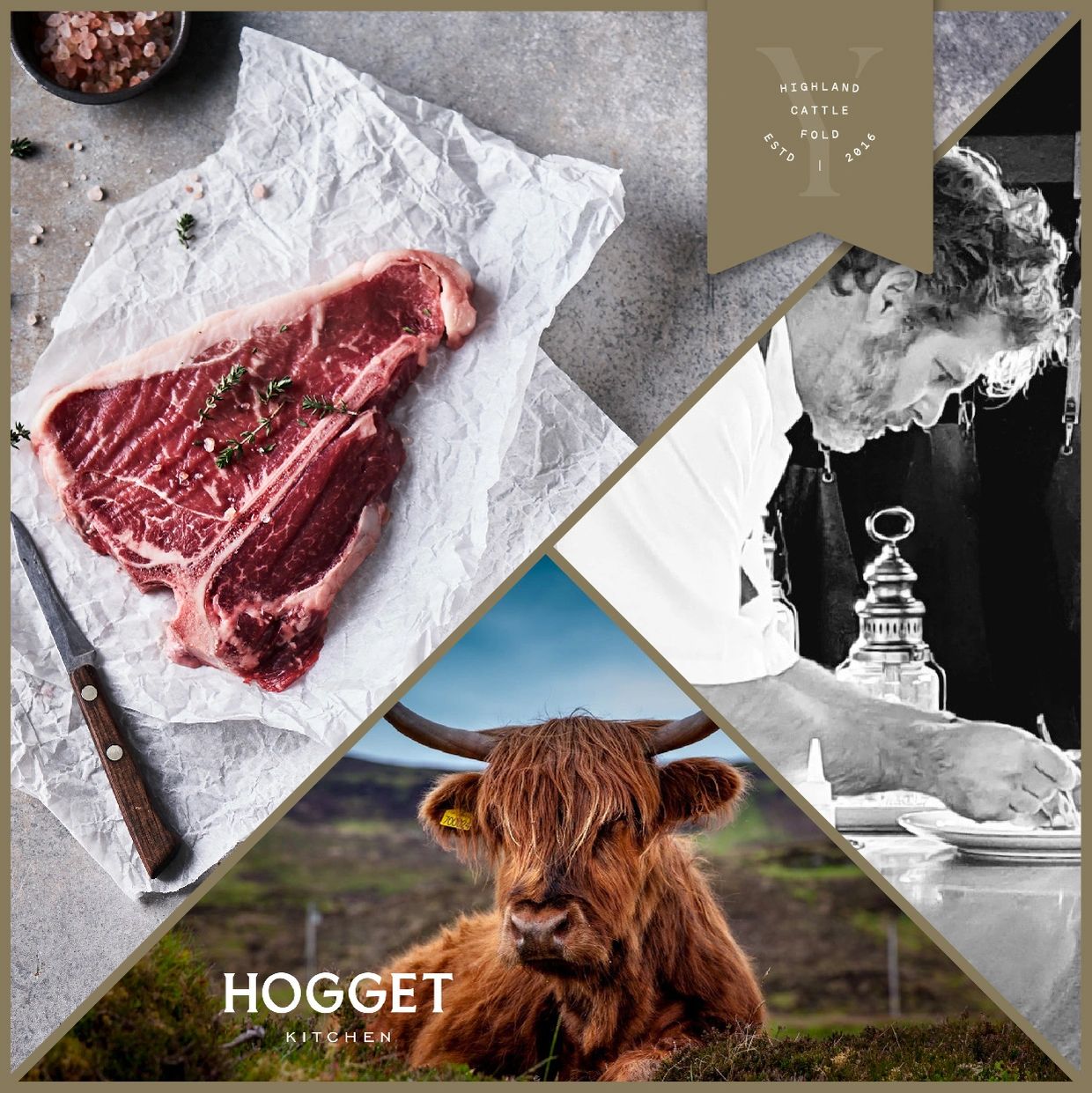 Highland Feast | Yatarna Highland Cattle Fold