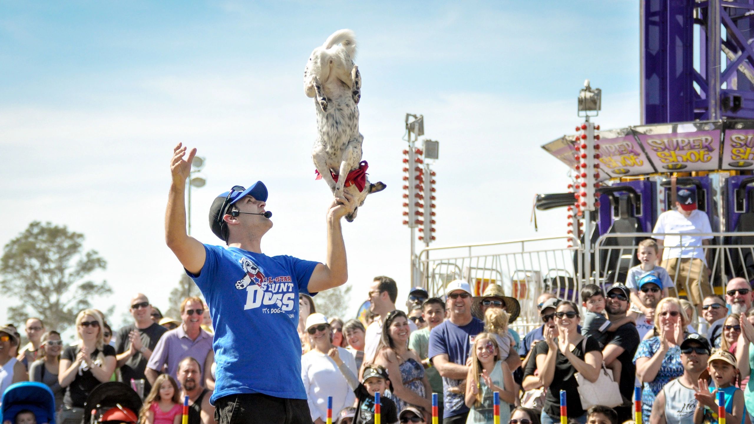All-Star Stunt Dog Show
