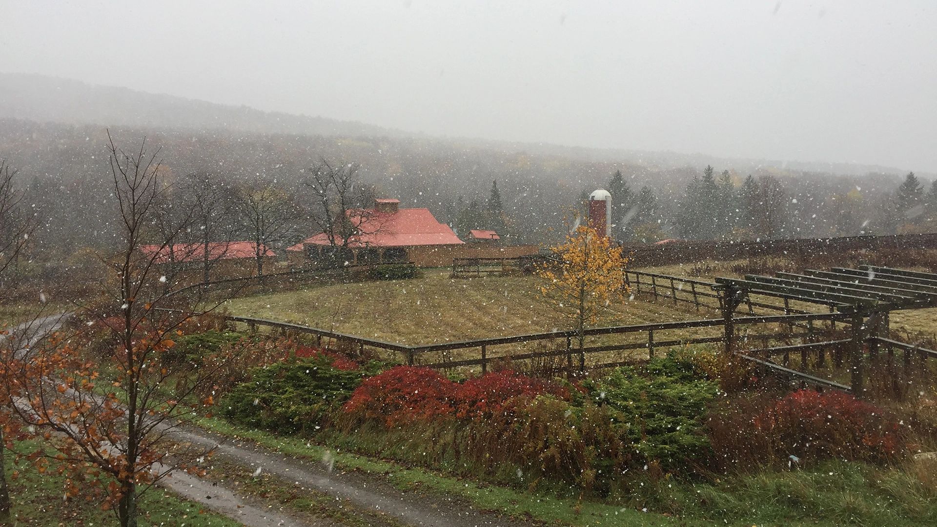 Dancing Horse Farm
