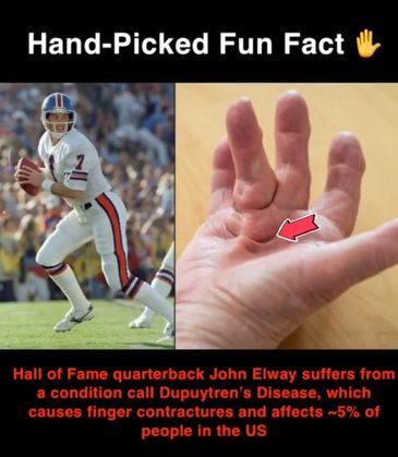 Fun Hand Facts