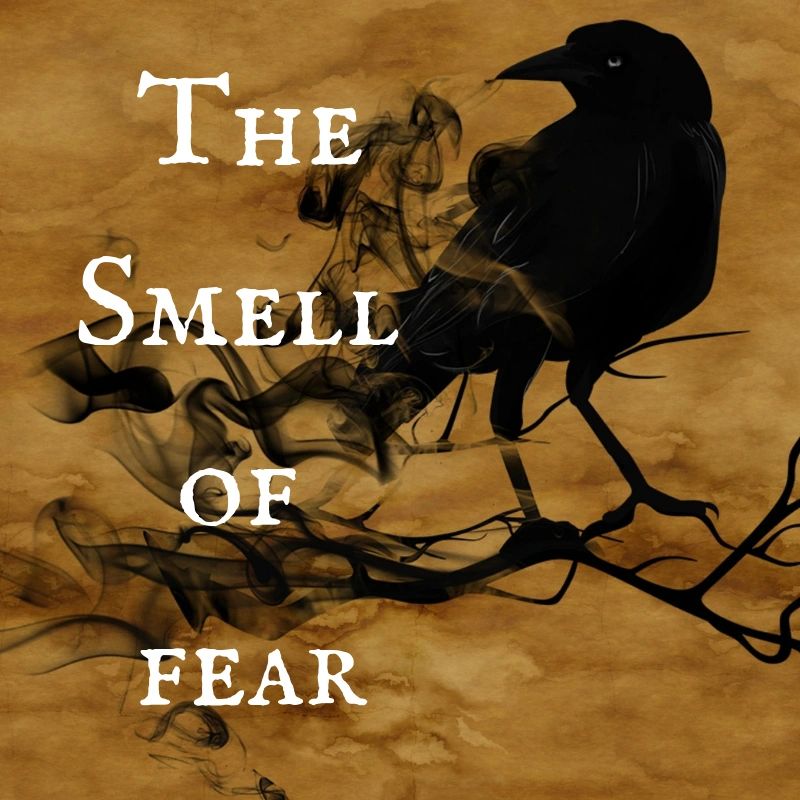 The Smell of Fear Candle Co