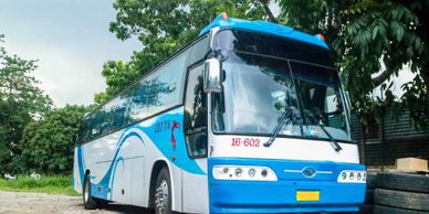 Island Dragon Transport and Travel Services Inc. - Bus Van, Rent Hire