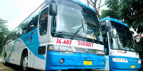 Island Dragon Transport and Travel Services Inc. - Bus Van, Rent Hire
