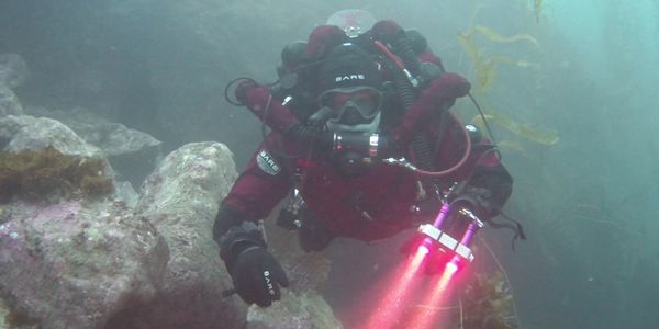 The Backbone of Cyborg