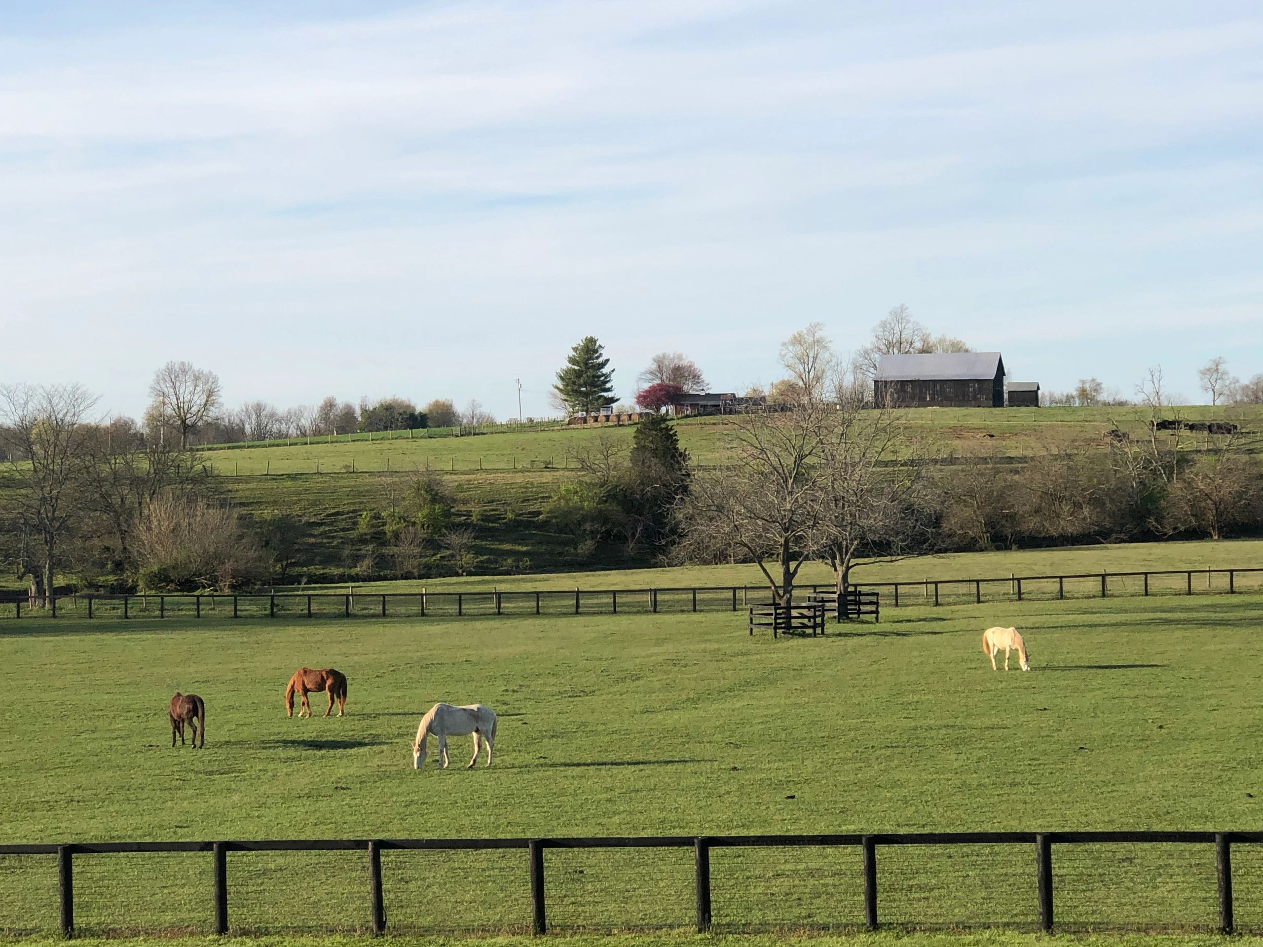 Henleyfarmsinc - Horse Farm, Equestrian
