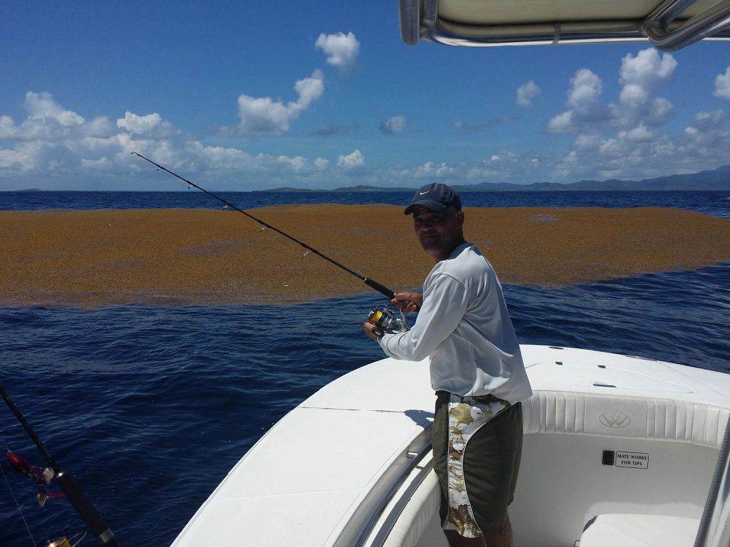 FISHING PUERTO RICO