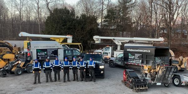 Aussie Tree Care - Tree Surgeon, Arborist, Tree Removal