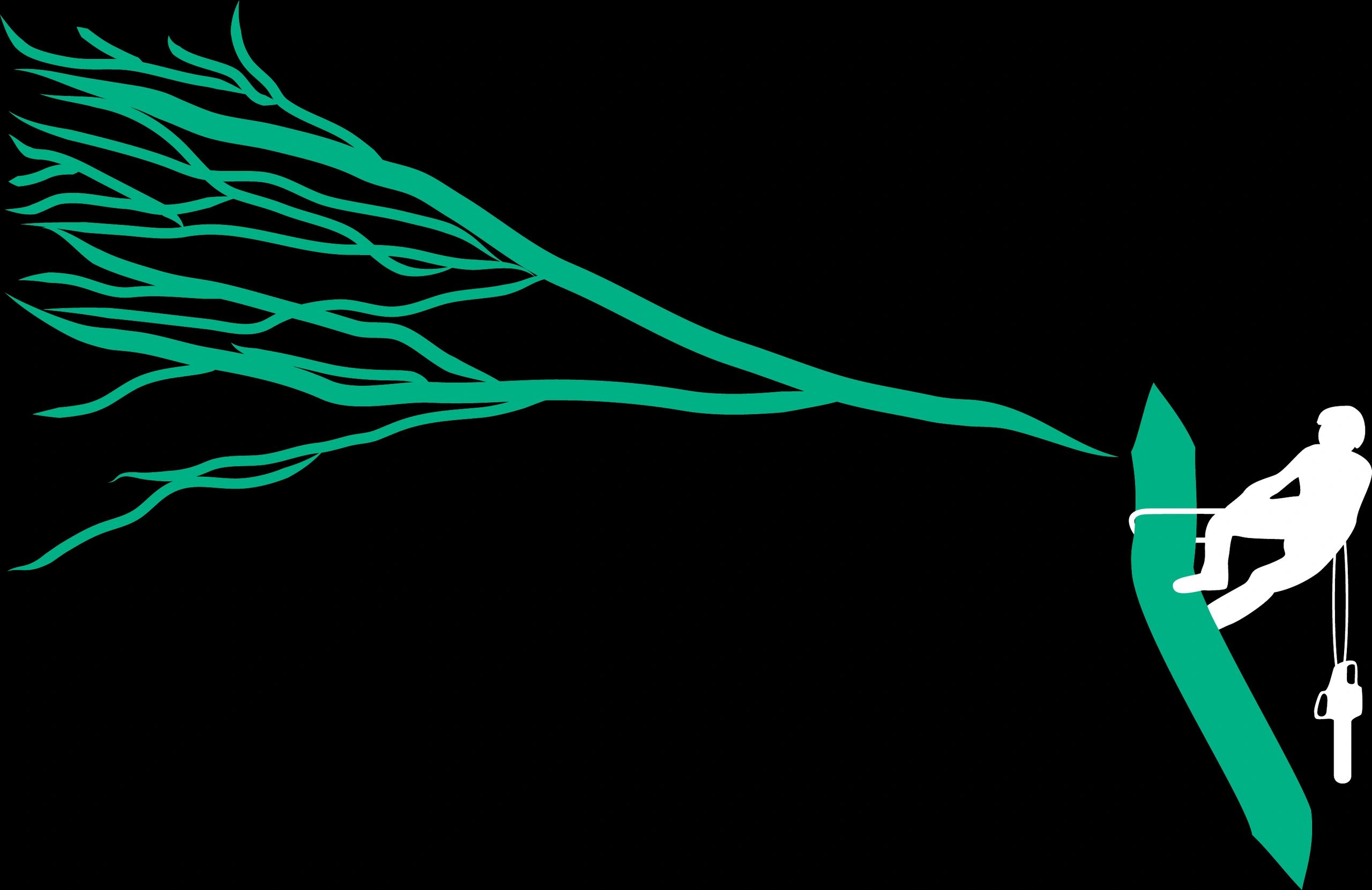 Aussie Tree Care - Tree Surgeon, Arborist, Tree Removal