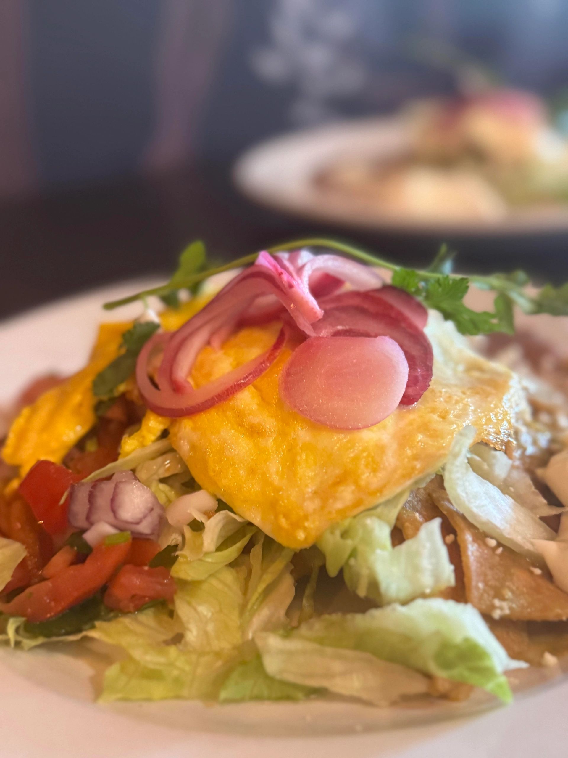 Bistro Locale: Fine Dining & Local Cuisine Restaurant