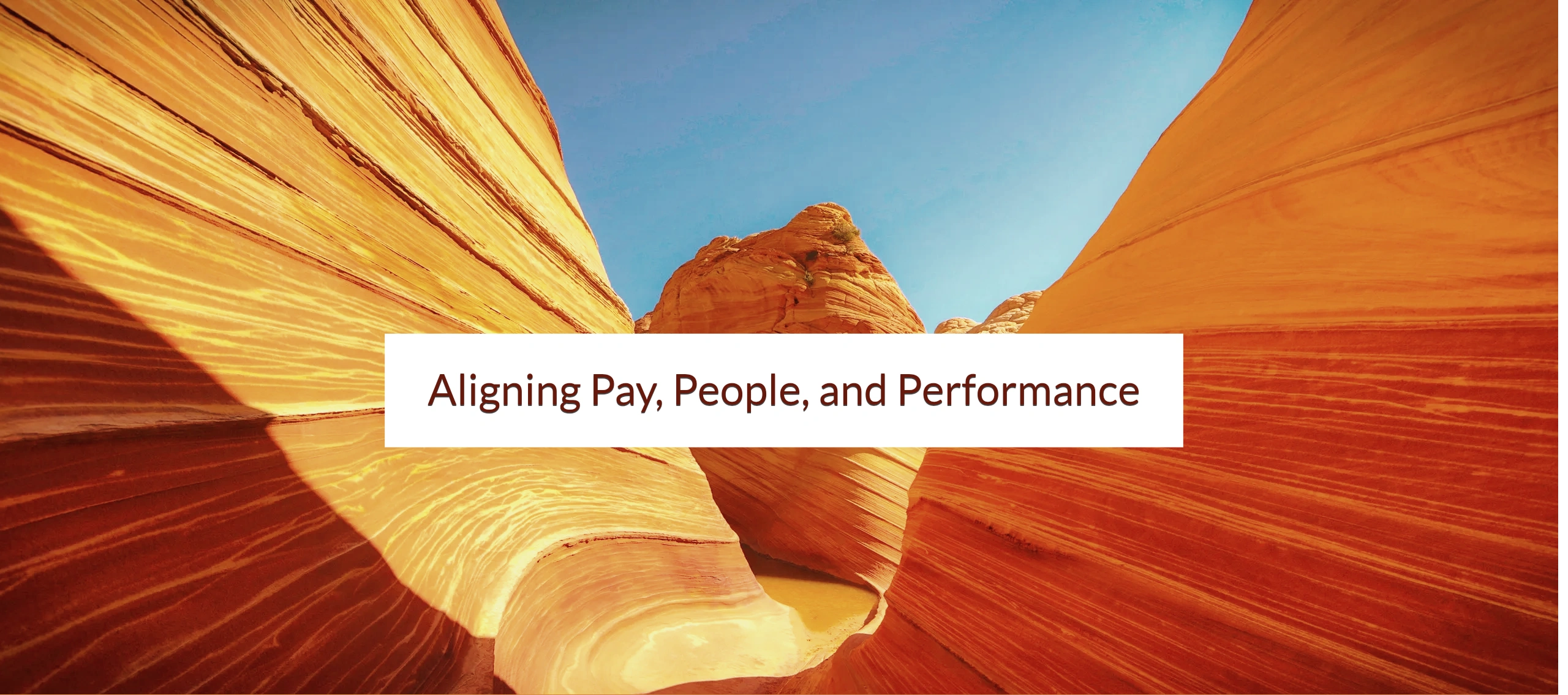 Broad-Based Compensation