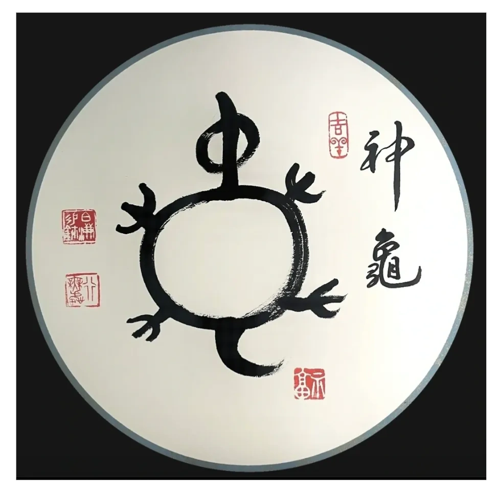 Magic Turtle Stories