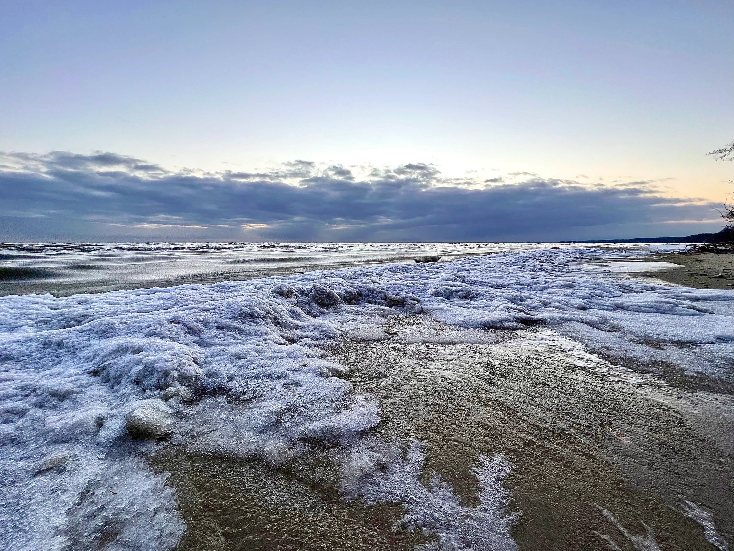 Scientists Cliffs Association