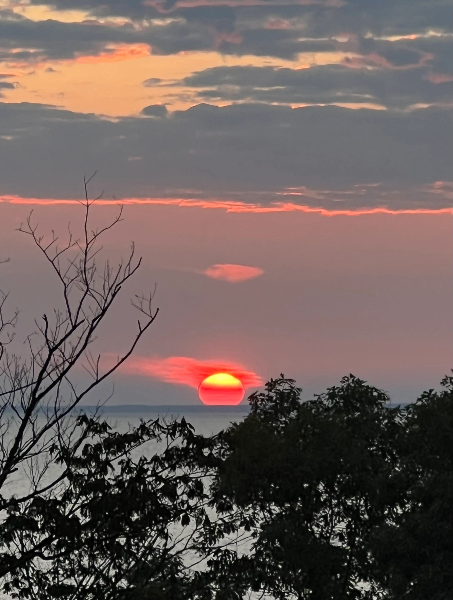 Scientists Cliffs Association